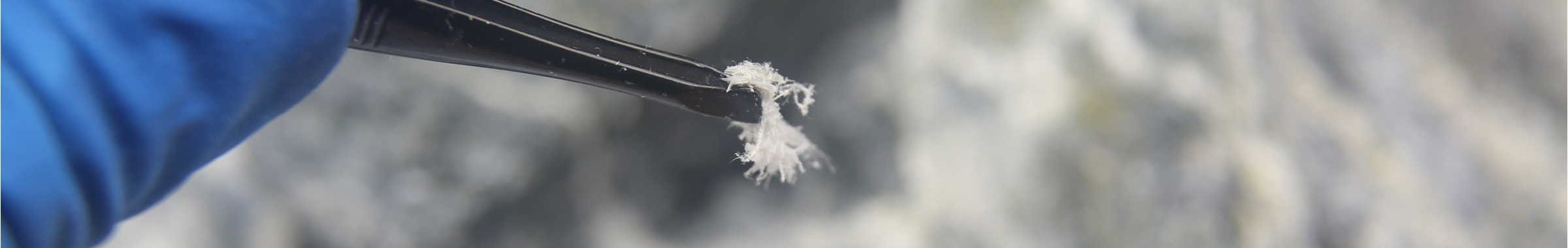 Asbestos Testing - Healthy Homes NZ