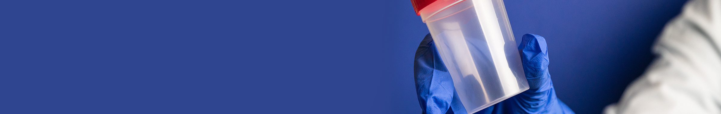 Meth Testing - Healthy Homes NZ